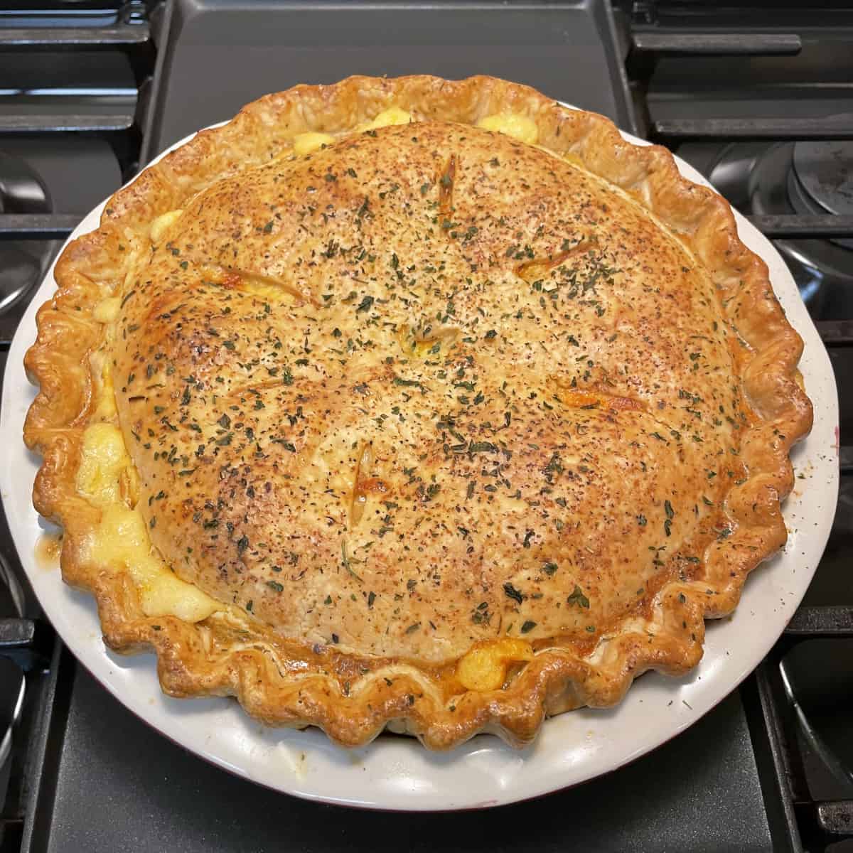 Mac&Cheese Pie - Oh Fer Eat Sakes!